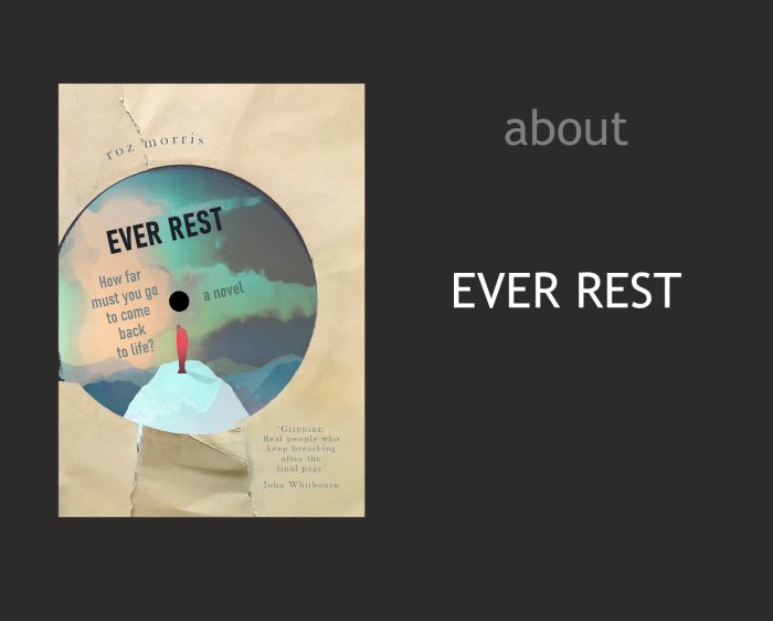 Roz Morris, author | 'A unique voice rising in contemporary fiction'